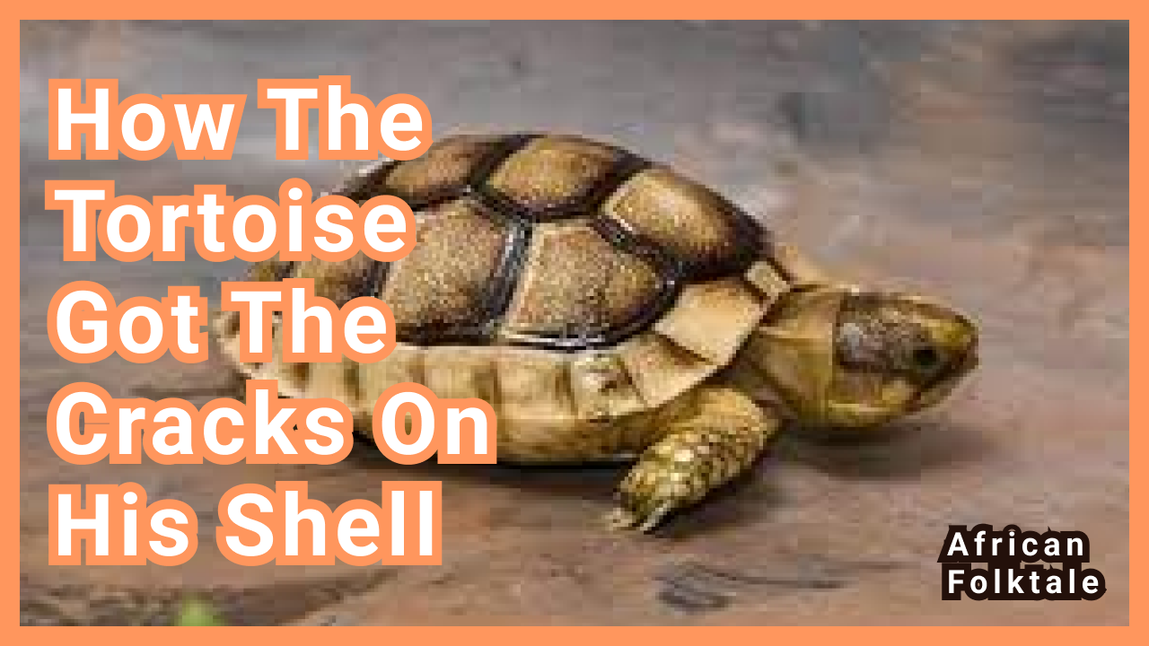 Folktale: How The Tortoise Got The Cracks On His Shell - Ebira Online